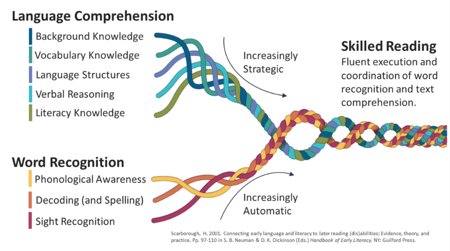 Learning to read in multiple languages – The Reading Rope explained ...